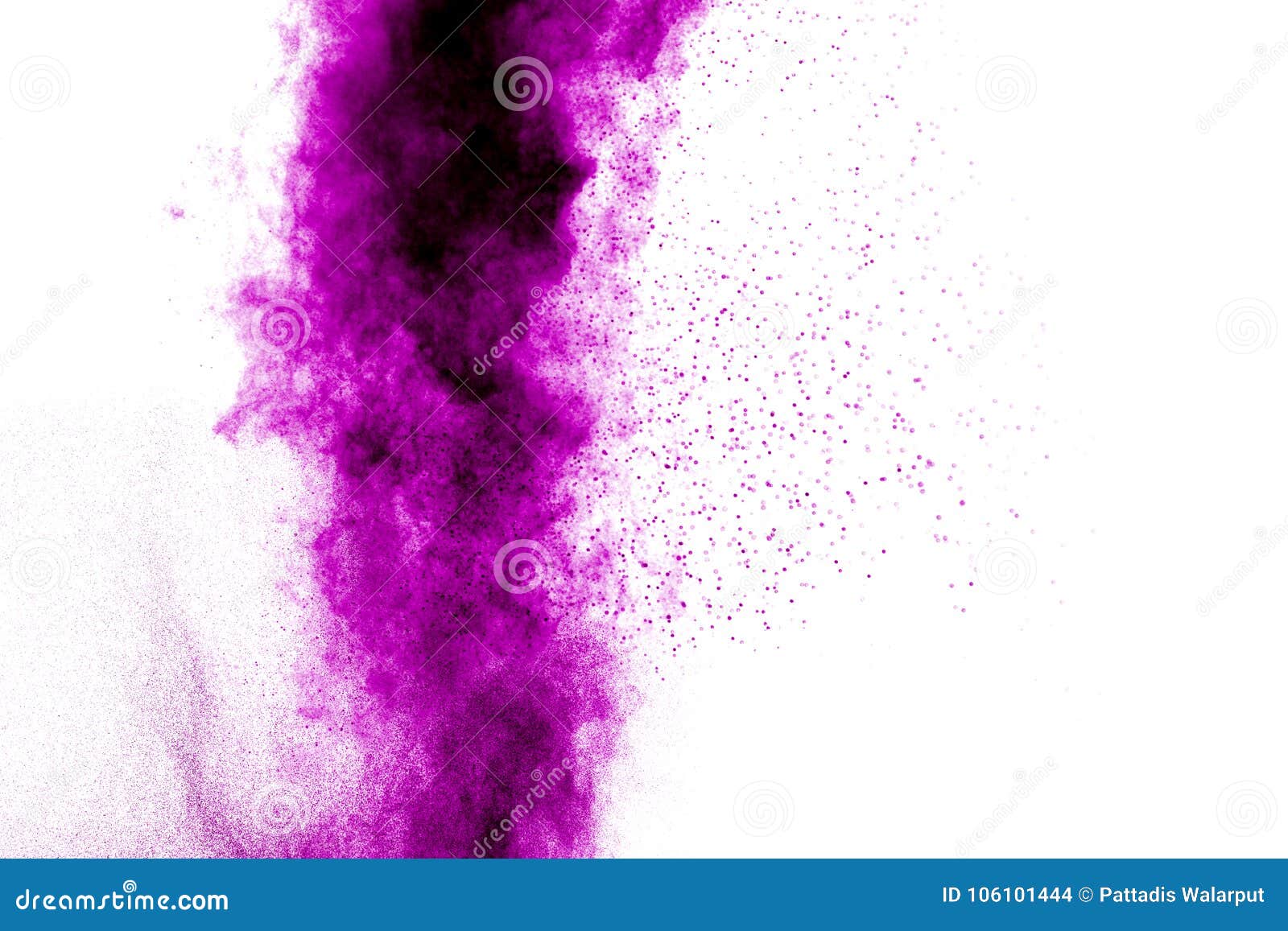 Violet Color Powder Explosion Then Splatter on White Background. Stock ...