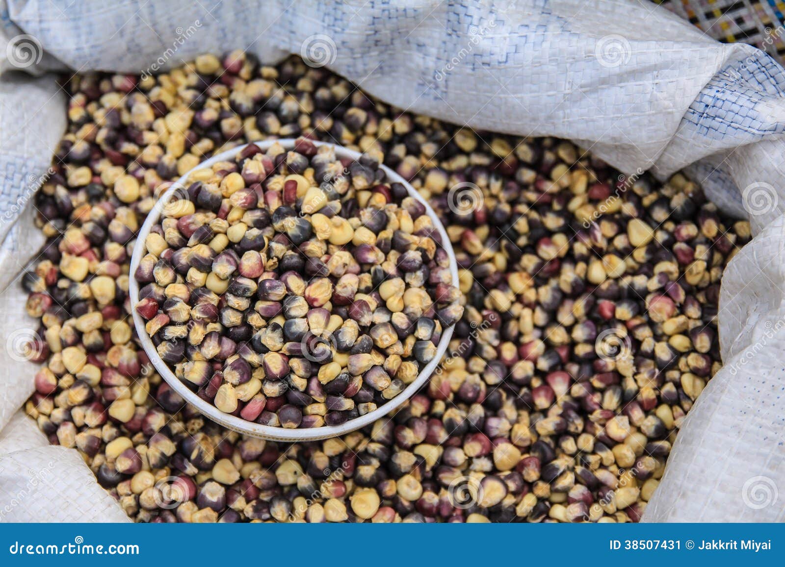 Violet corn seed stock image. Image of background, maize - 38507431