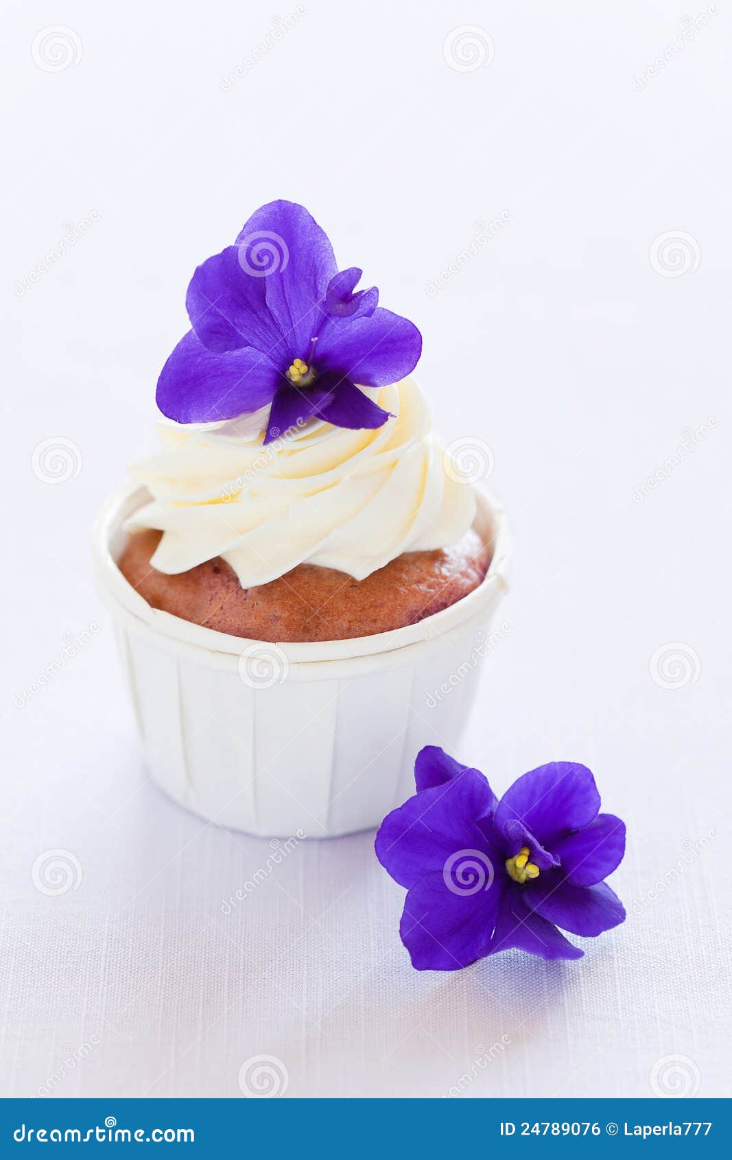 Violet cupcake stock photo. Image of summer, cream, dessert - 24789076