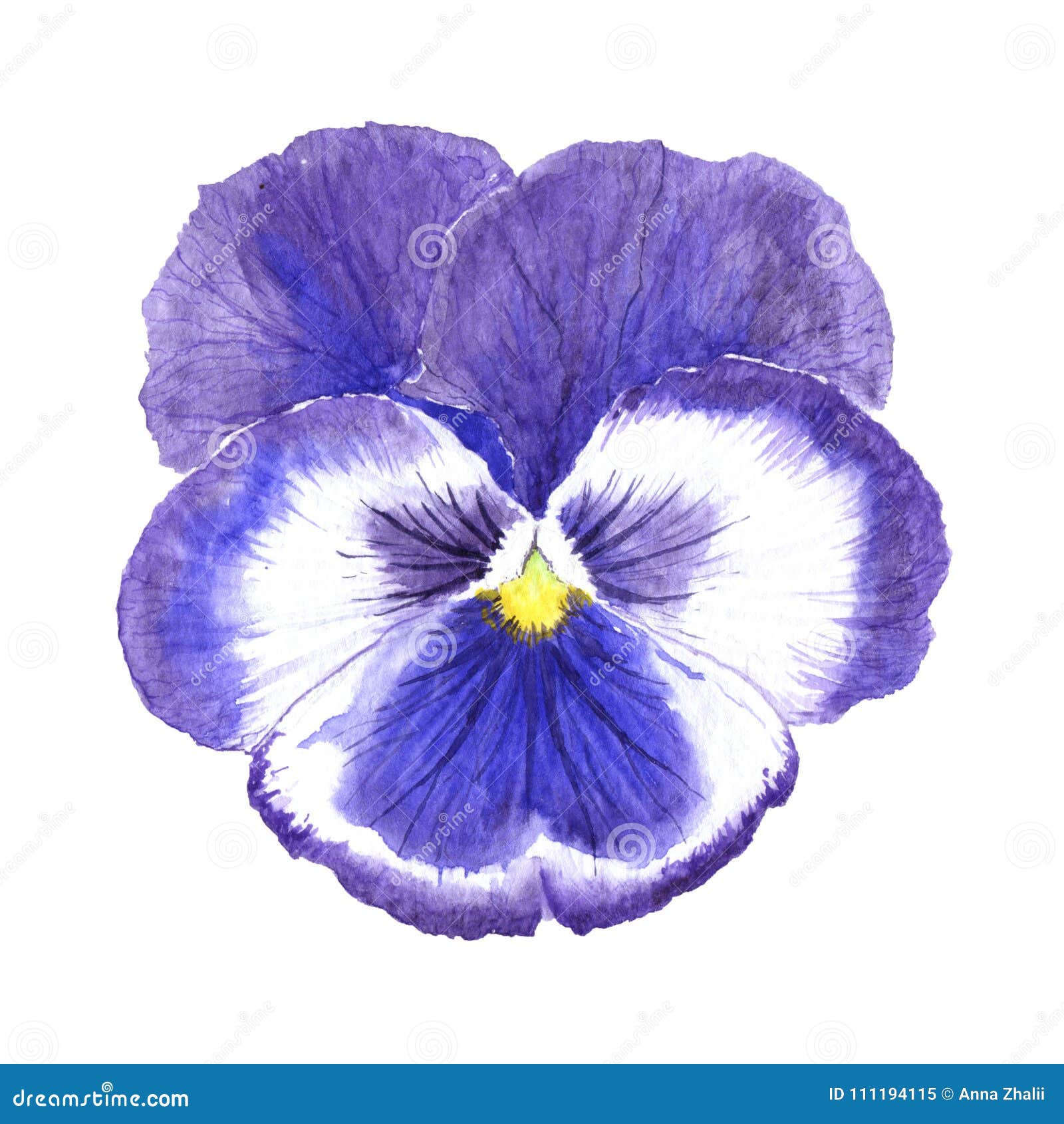 Violet flower close up. stock image. Image of closeup - 111194115