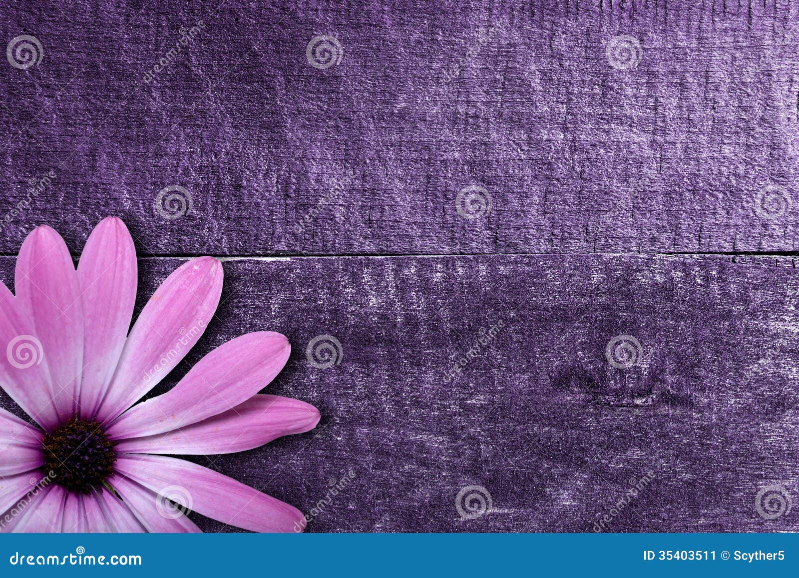 Violet Flower on Wooden Background Stock Image - Image of natural ...