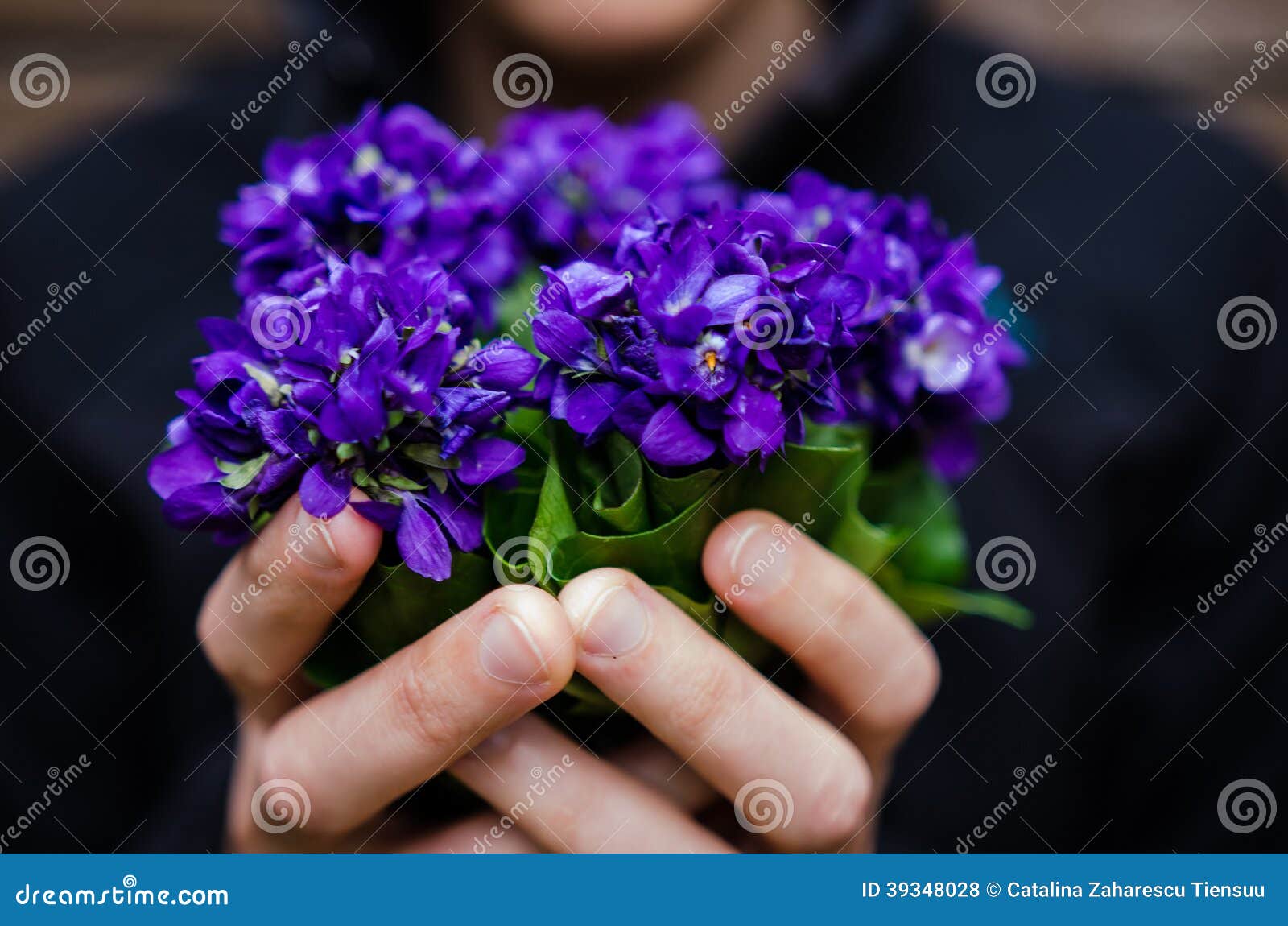 Violet flowers bouquet stock photo. Image of hands, sweet - 39348028