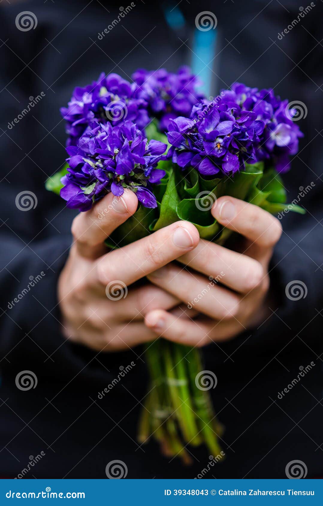 Violet flowers bouquet stock image. Image of violaceae - 39348043