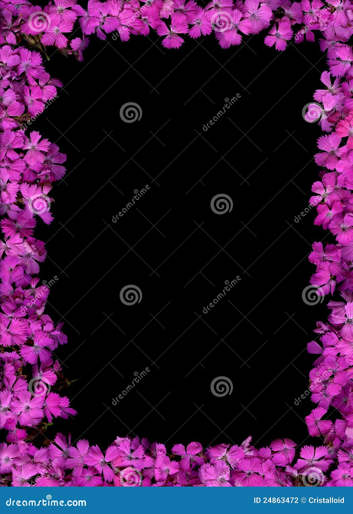 Violet flowers frame stock photo. Image of frame, clip - 24863472