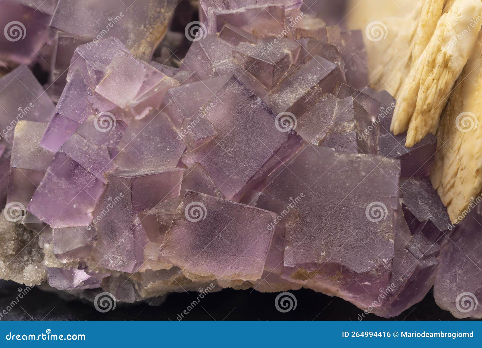 Violet Fluorite, Macro Detail, Texture Background. Semi-precious ...