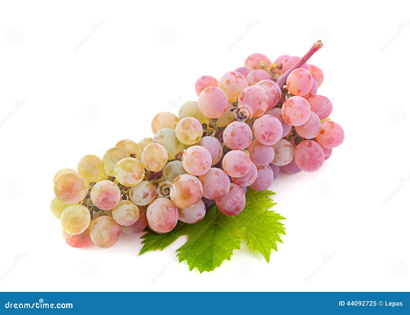 Violet grape fruit stock image. Image of leaf, sweet - 44092725
