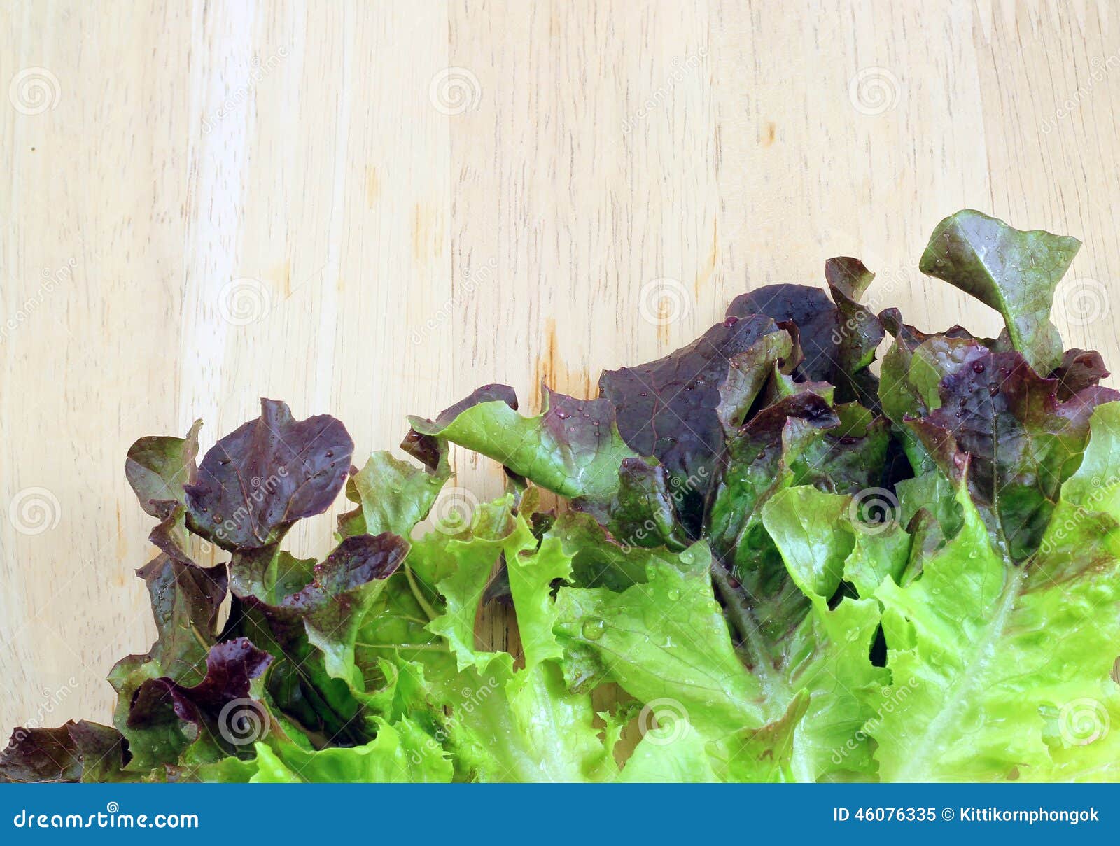 Violet lettuce. stock image. Image of freshness, nutrition - 46076335