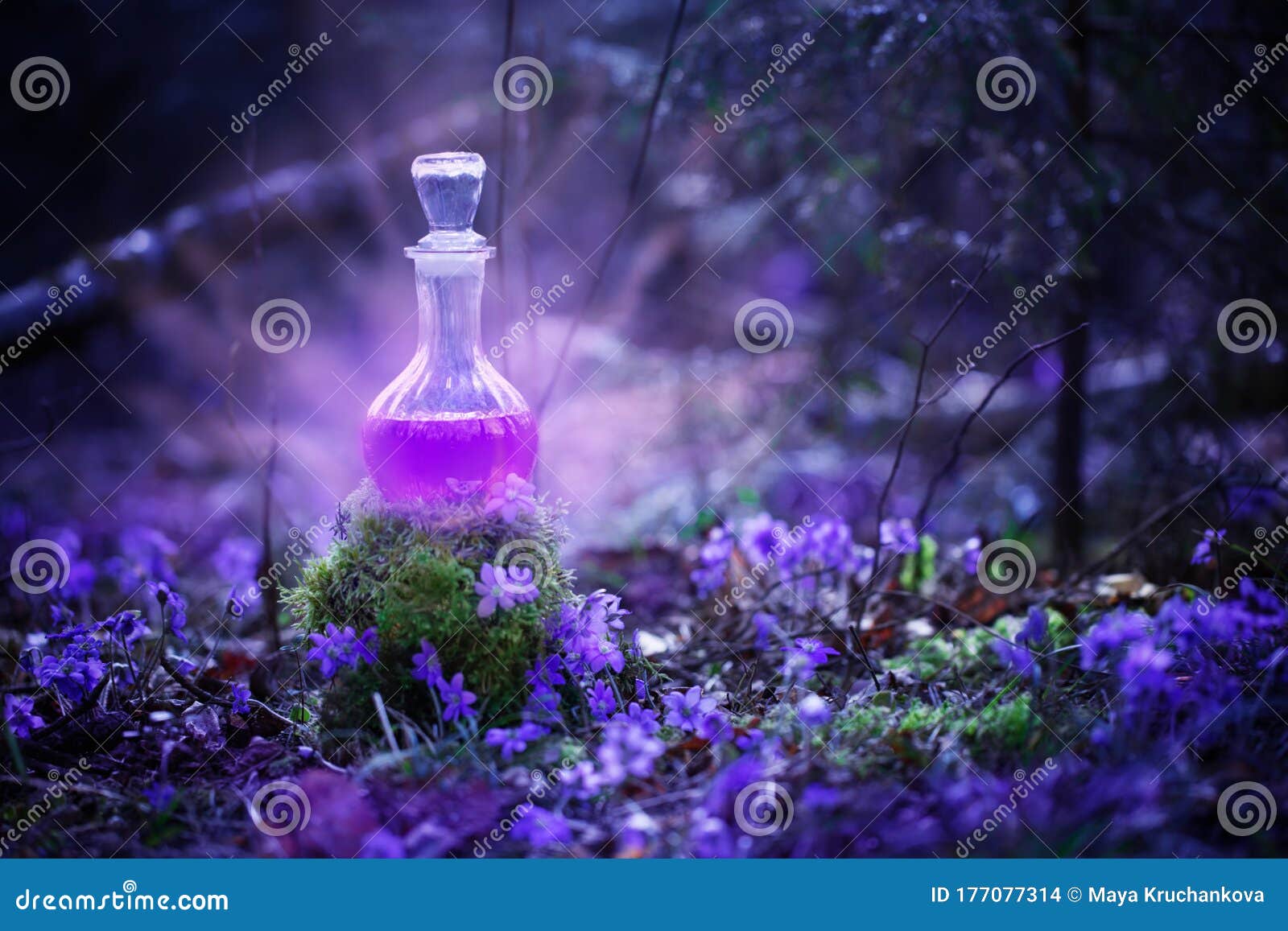 Magic Potion in Bottle in Fairy Forest Stock Photo - Image of alchemy ...
