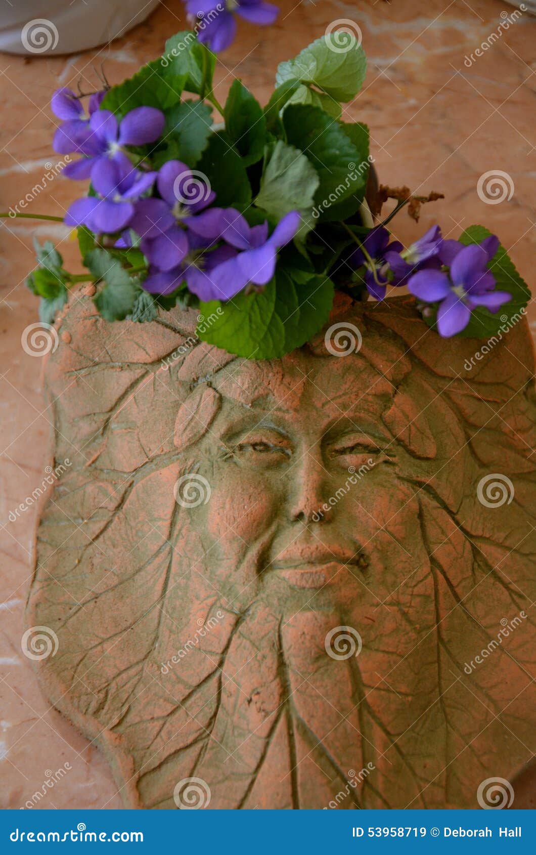 The violet man stock image. Image of purple, smile, violets - 53958719