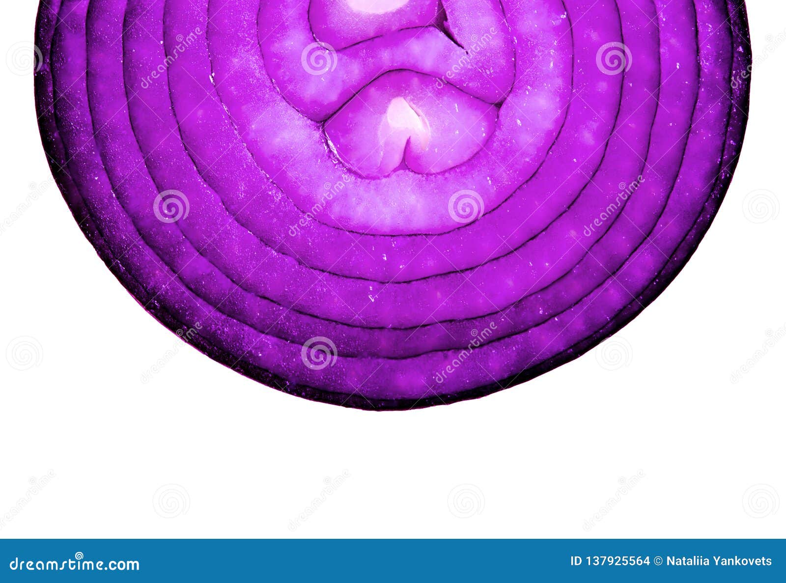 Violet Onion Slice on a White Background, Top View Stock Photo - Image ...
