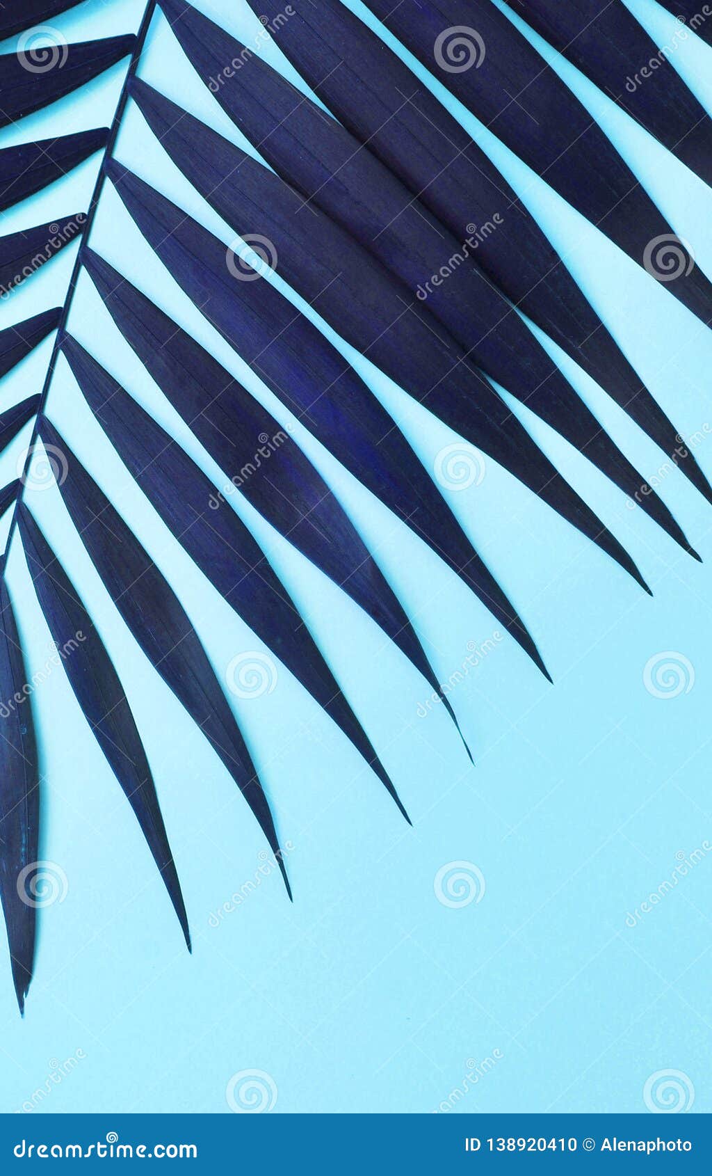 Palm Tree on Blue Background. Stock Photo - Image of abstract, floral ...