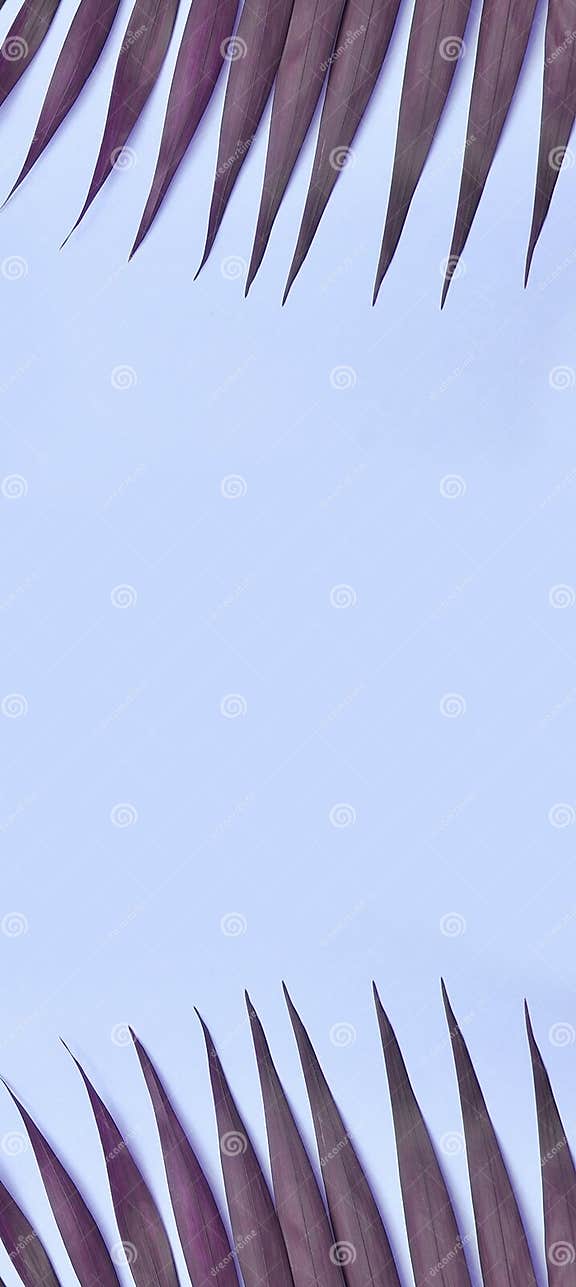 Palm Tree on Blue Background. Stock Image - Image of violet, color ...