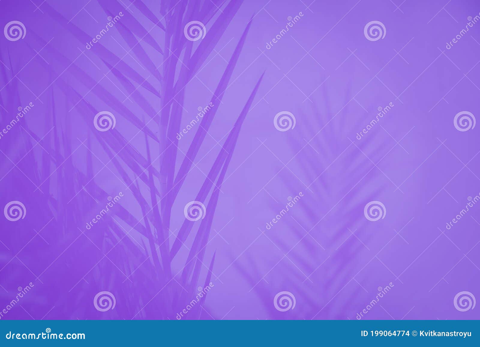 Violet Palm Tree Leaves on the Light Violet Background Stock ...