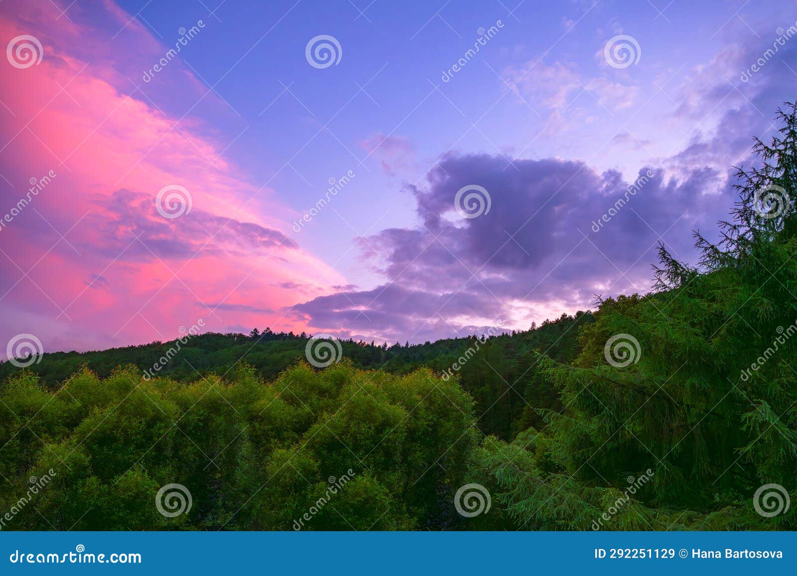 Violet, Purple and Blue Sunset Over Forest Stock Image - Image of rural ...