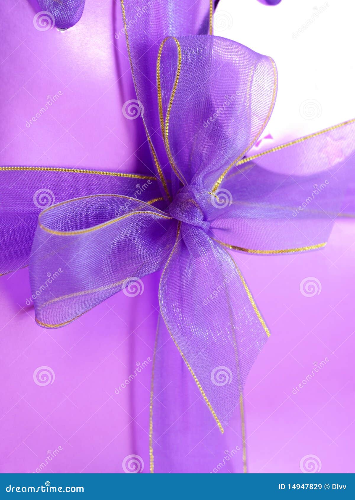 Violet ribbon bow stock image. Image of braid, golden - 14947829