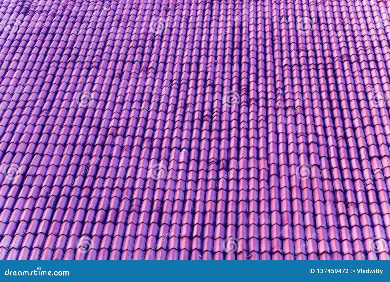 Violet Roof with Ceramic Tiles Stock Photo - Image of structure, grunge ...