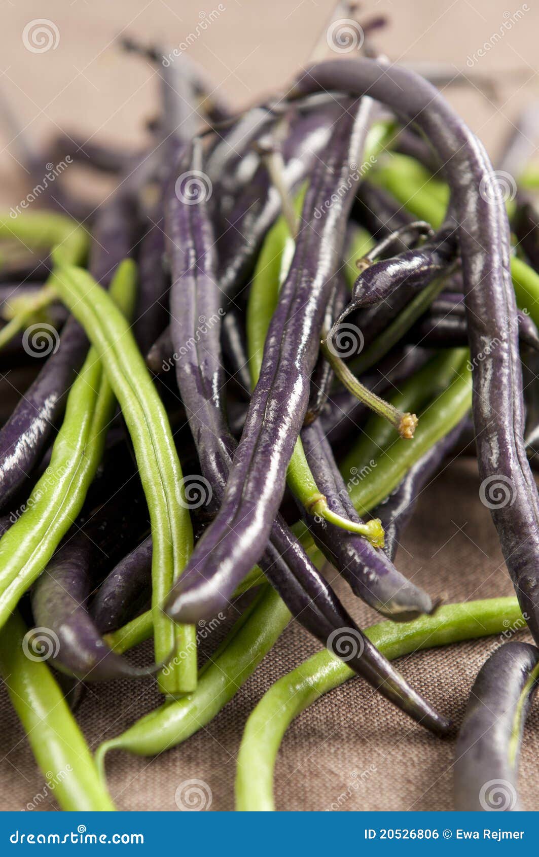 Violet Runner Bean stock photo. Image of vegetable, healthy - 20526806