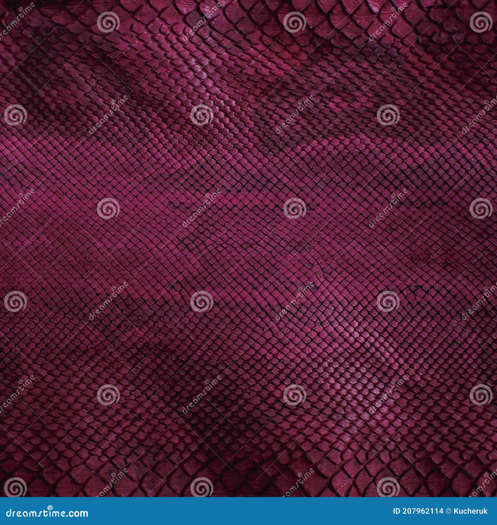 Violet Snake Skin with Pattern, Reptile Stock Photo - Image of design ...