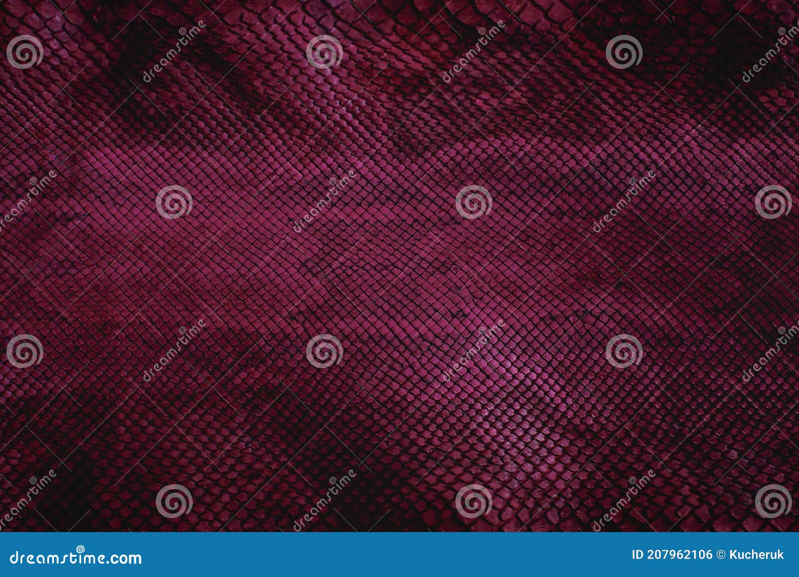 Violet Snake Skin with Pattern, Reptile Stock Photo - Image of abstract ...