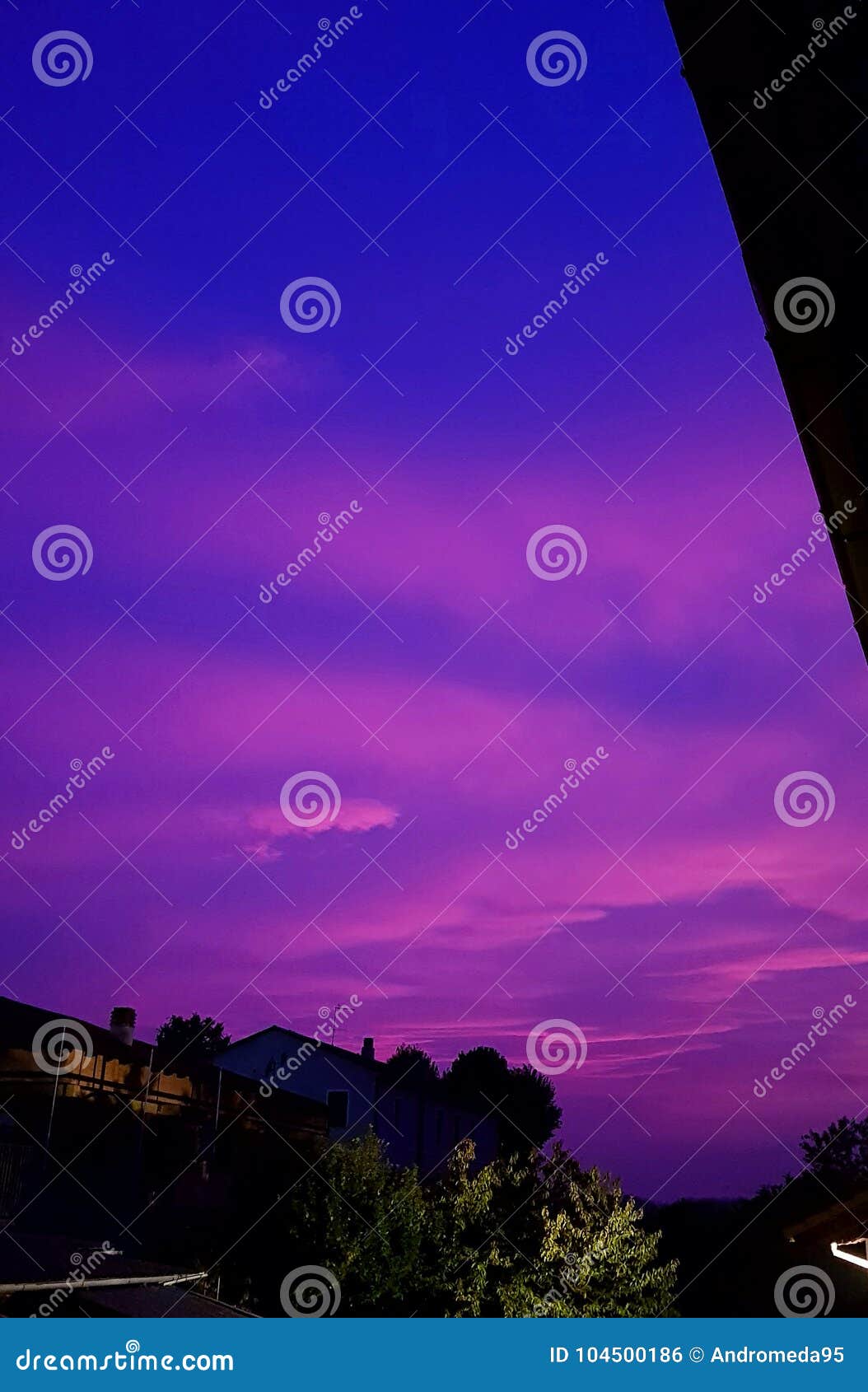 Violet Sunset photo stock. Image du violette, sunset - 104500186