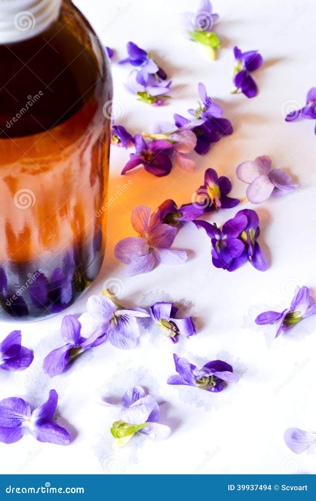 Violet syrup stock photo. Image of floral, homemade, nature - 39937494