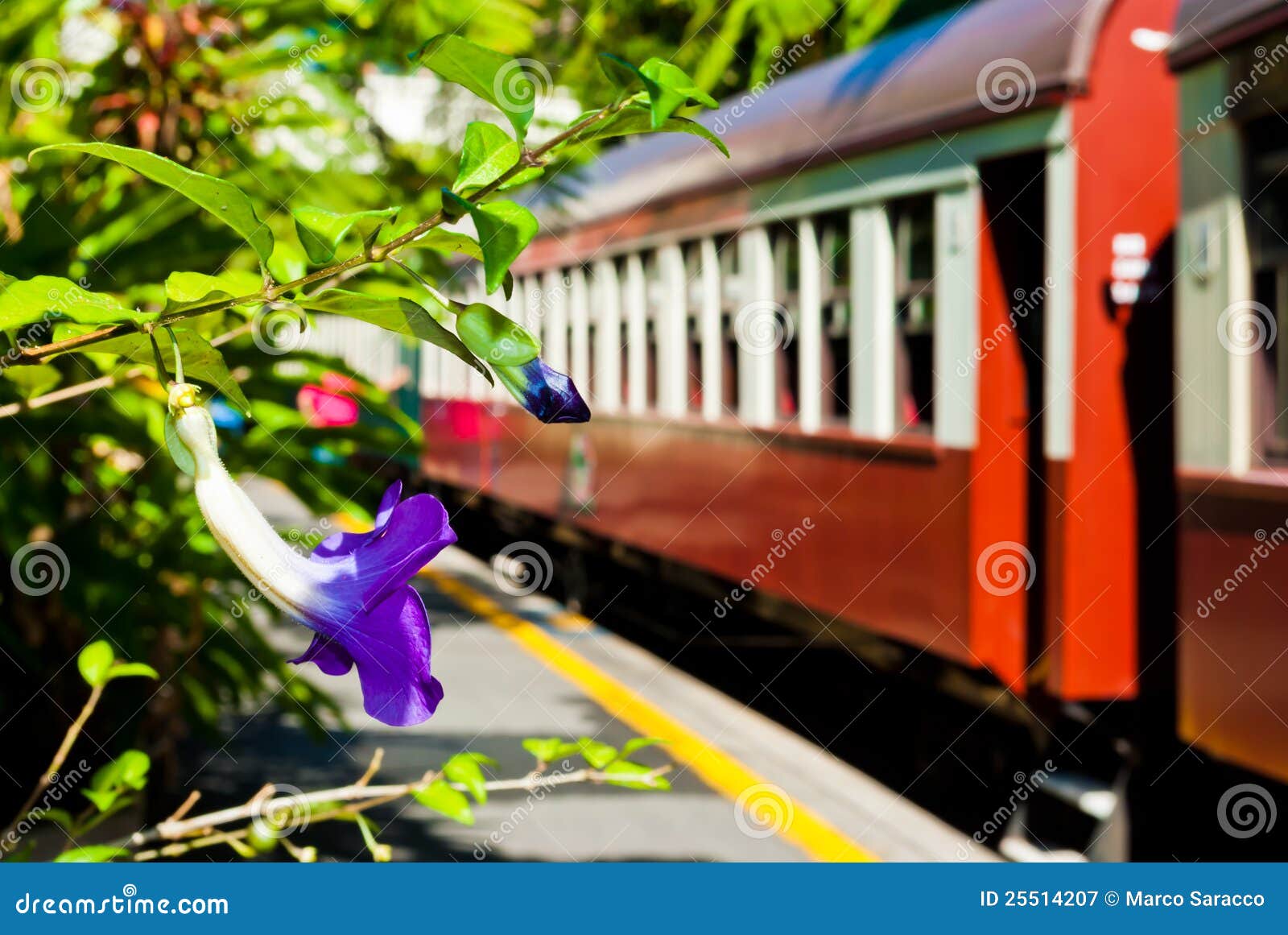A Violet in a Train Station Stock Image - Image of travel, coach: 25514207