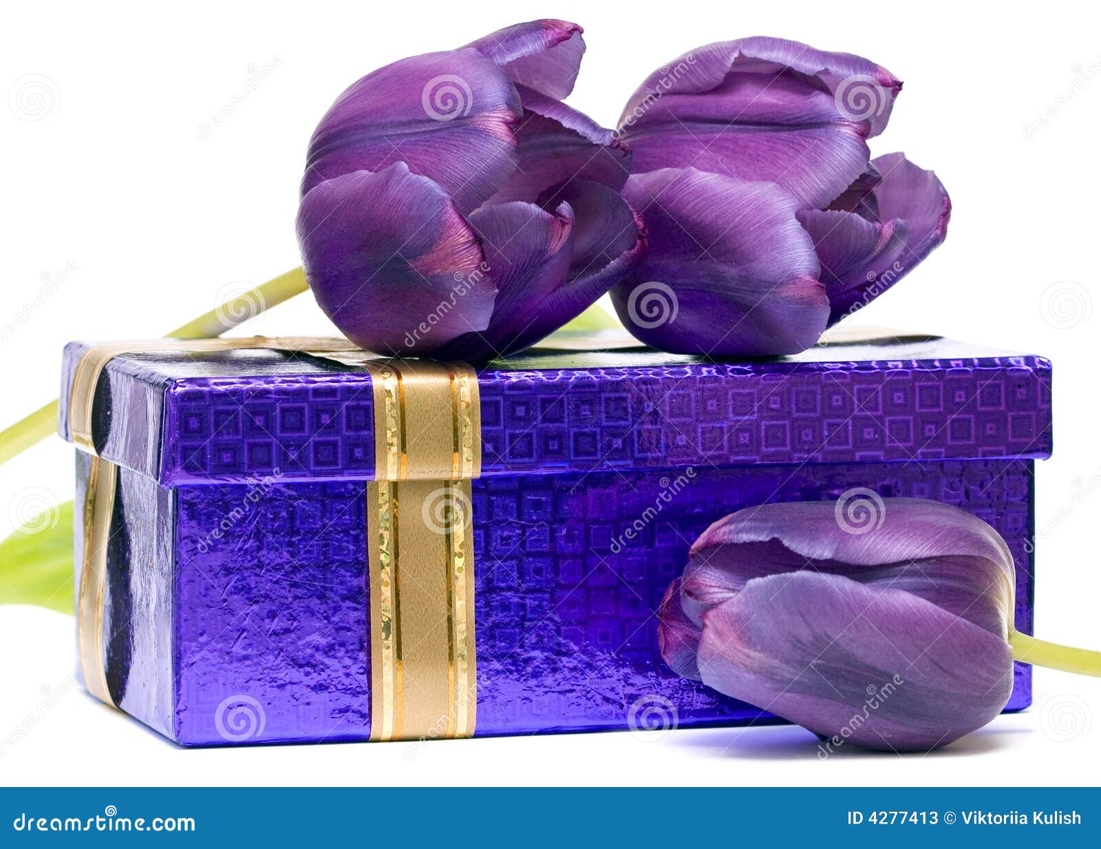 Violet tulips and gift box stock image. Image of fragrant - 4277413
