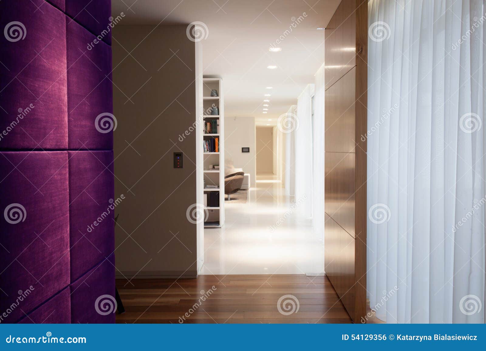 Violet wall stock photo. Image of extravagant, entrance - 54129356