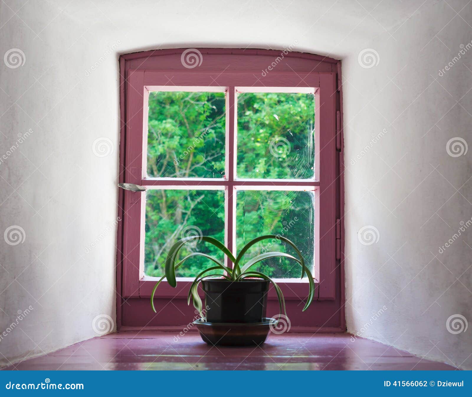 Violet window stock photo. Image of natural, design, basket - 41566062