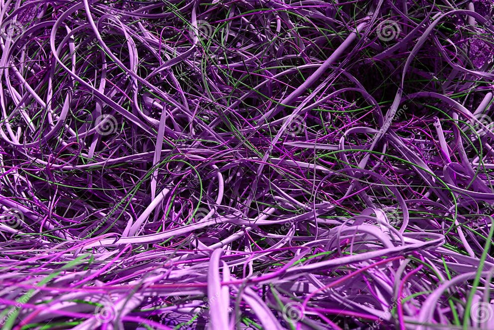 Violet wires stock photo. Image of play, cable, mixed - 1941748