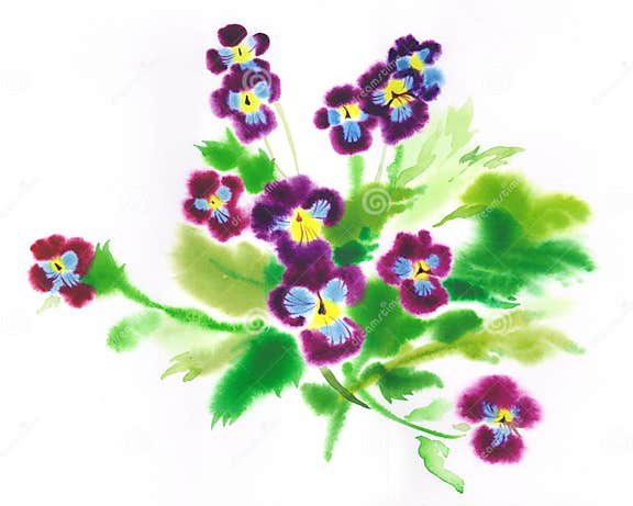 Violetas stock de ilustración. Ilustración de verde, brote - 20450405