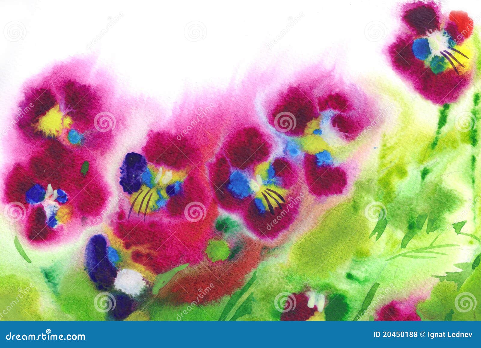 Violets Royalty-Free Stock Photography | CartoonDealer.com #20450405