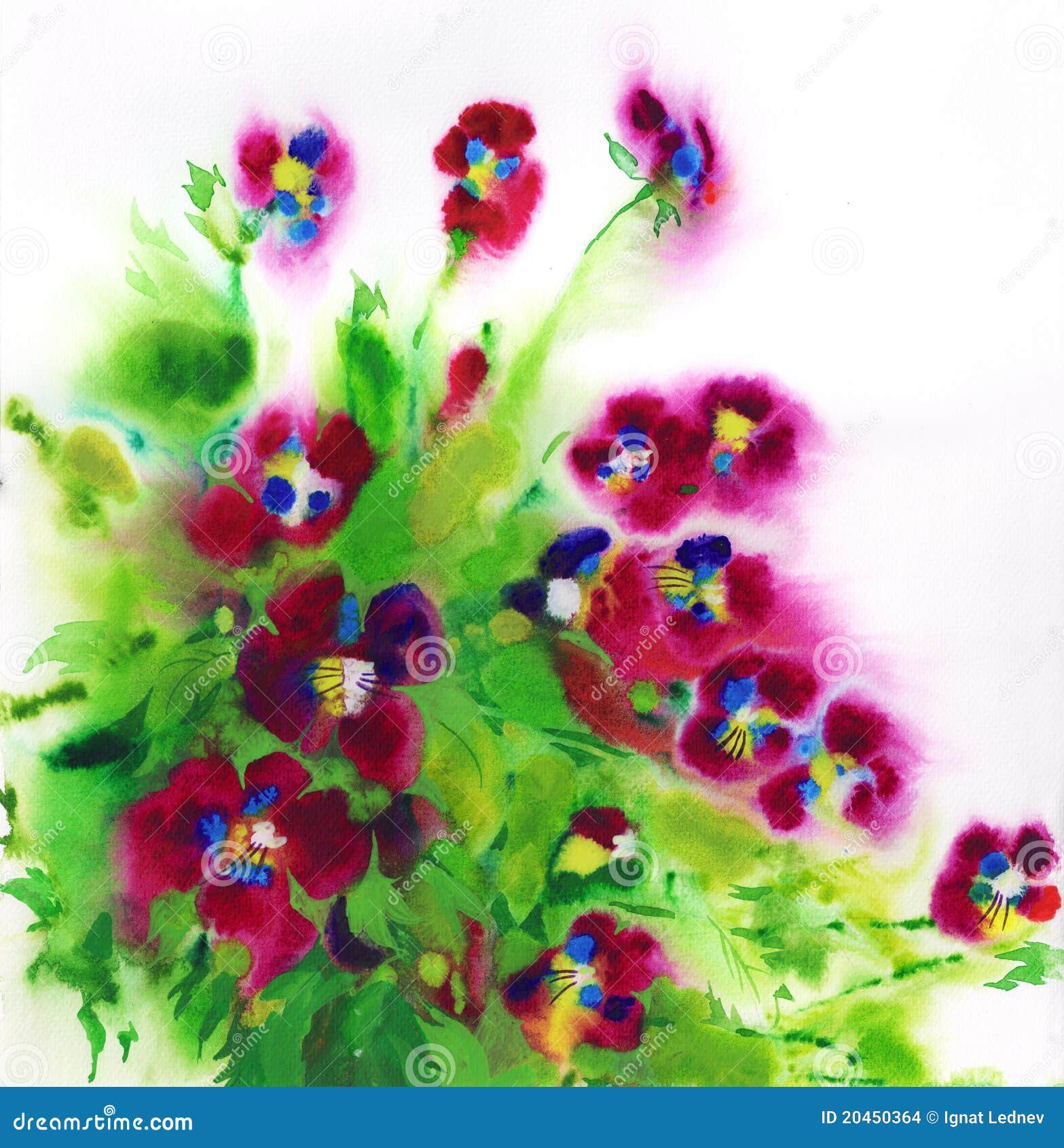 Violets Royalty-Free Stock Photography | CartoonDealer.com #20450405