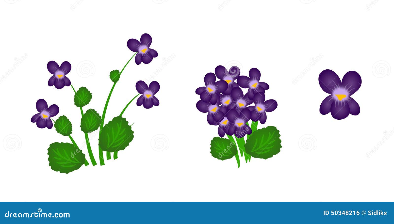 Violets stock illustration. Illustration of bloom, floral - 50348216