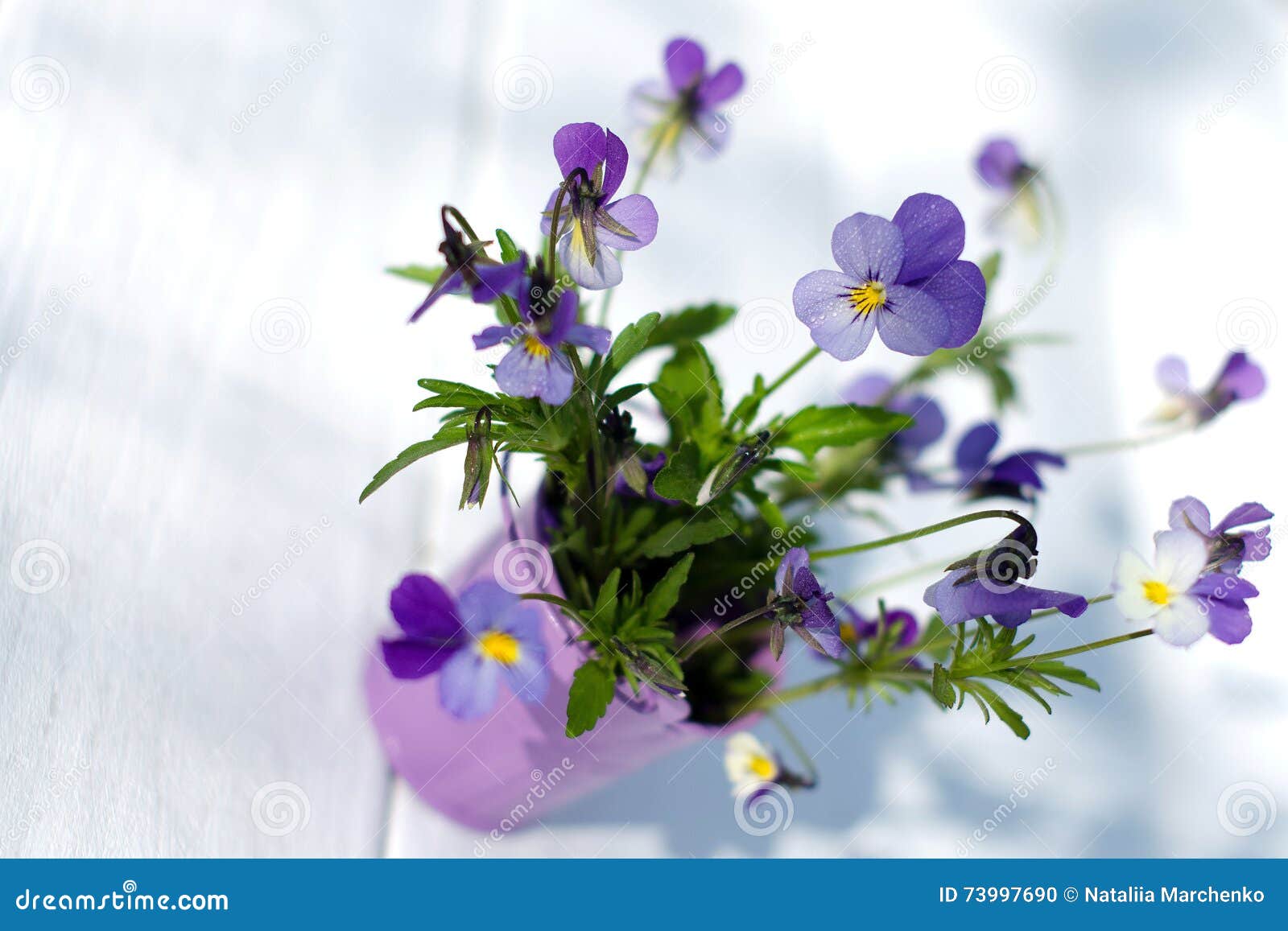 Violets in a Vase on a White Table Stock Photo - Image of home, bunch ...