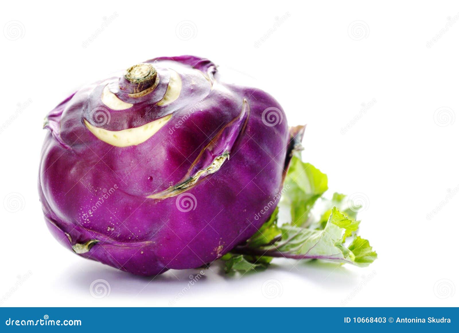 Violette Raap Met Groene Bovenkant Stock Afbeelding - Image of koolraap ...