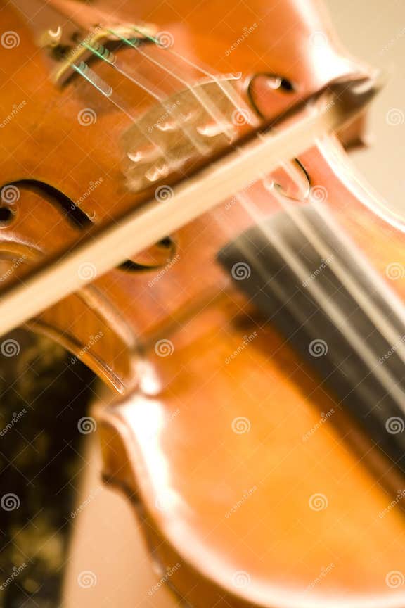 Violin stock photo. Image of musician, classical, music - 10127610