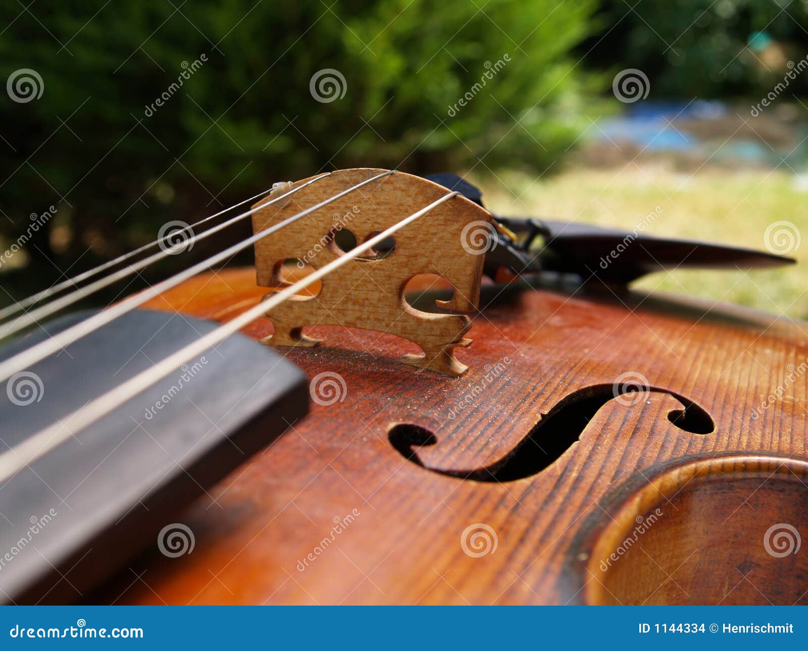 Violin Picture. Image: 1144334