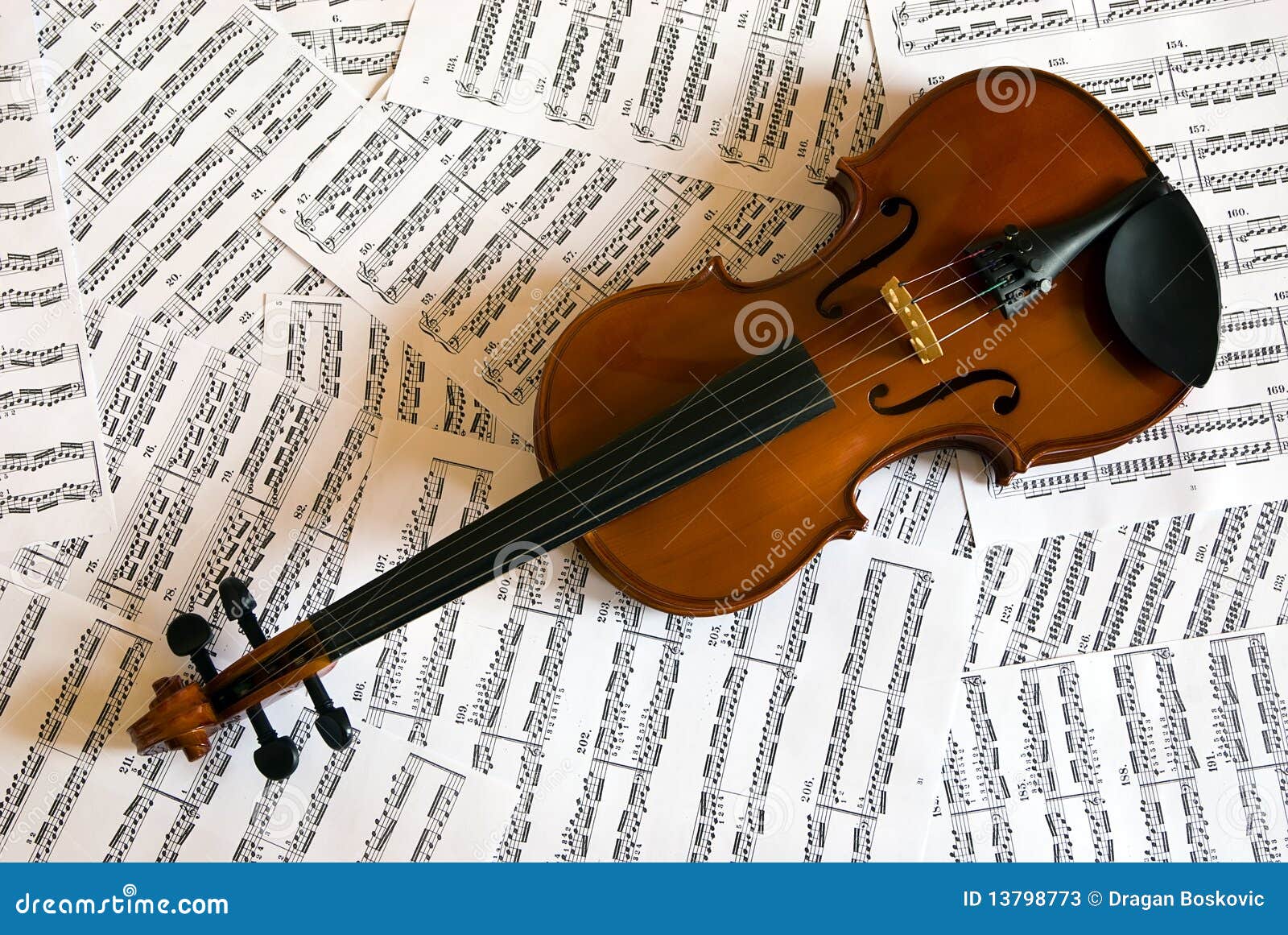 Violin Picture. Image: 13798773