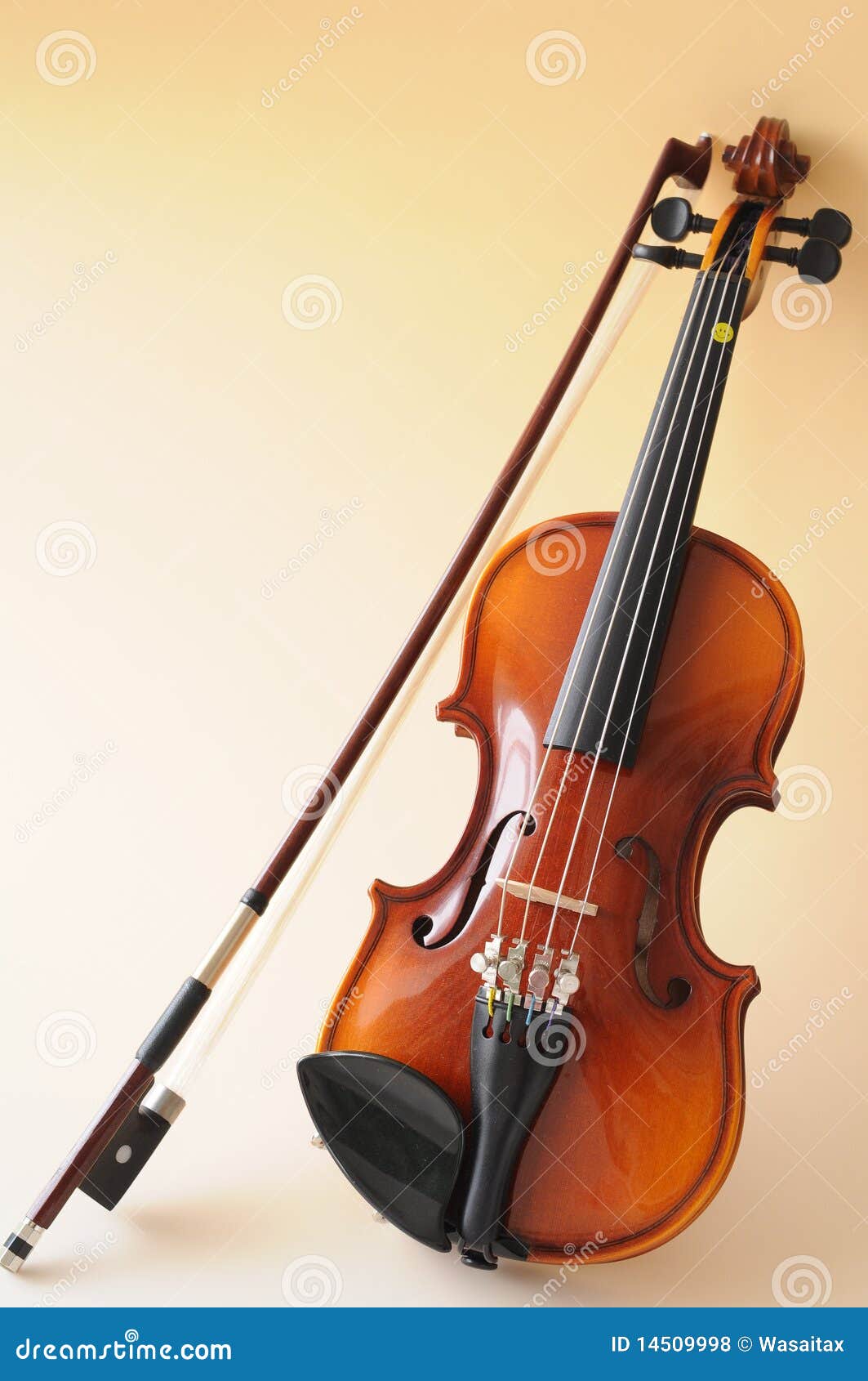 Violin stock photo. Image of violin, wood, violinist - 14509998
