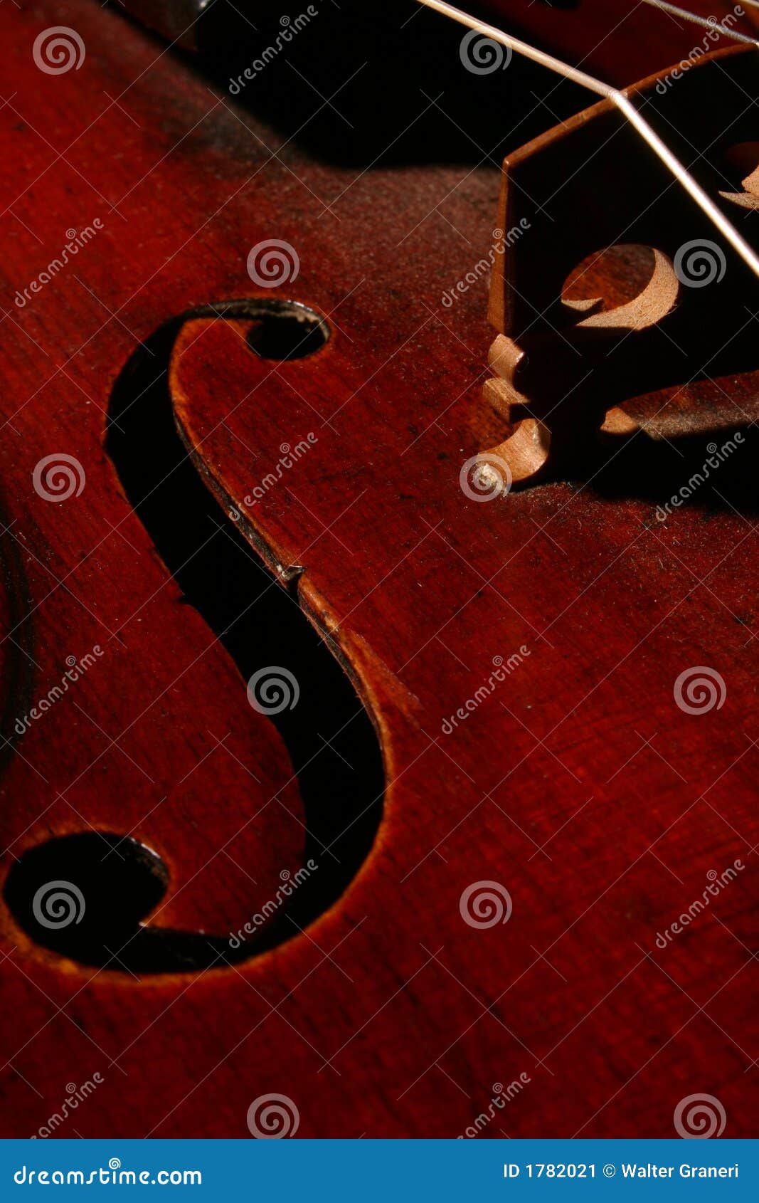 Violin stock image. Image of isolated, operate, patern - 1782021