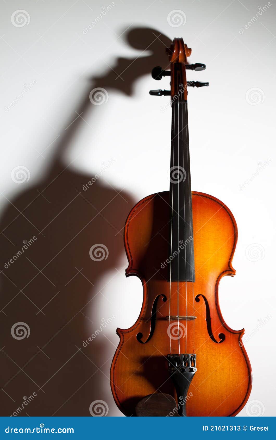 Violin stock image. Image of string, white, stringed - 21621313
