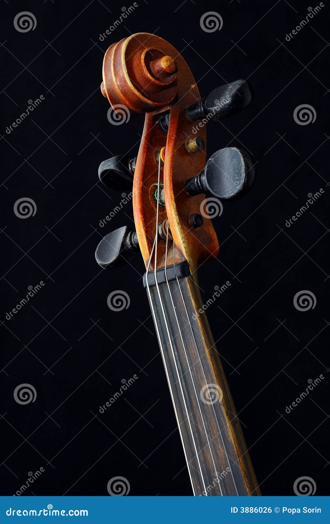 Violin stock photo. Image of music, bowed, instrument - 3886026