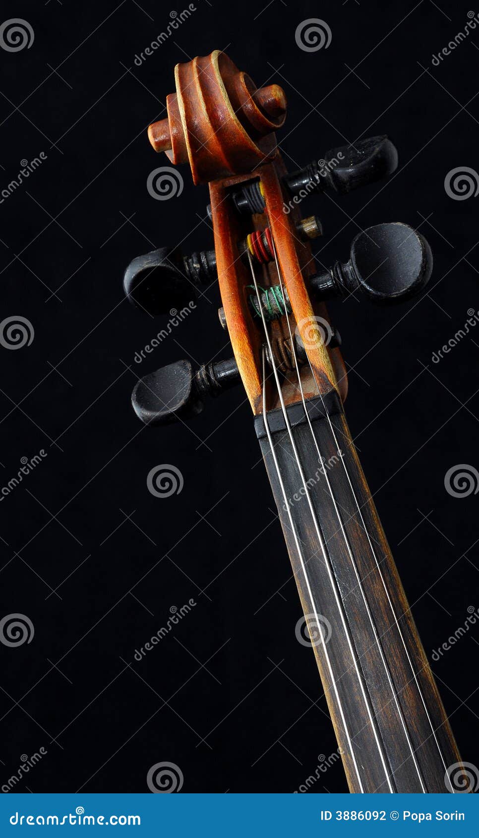 Violin Picture. Image: 3886092
