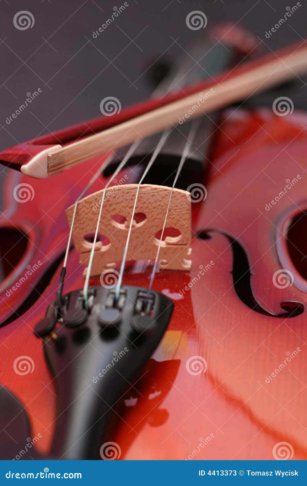 Violin Picture. Image: 4413373