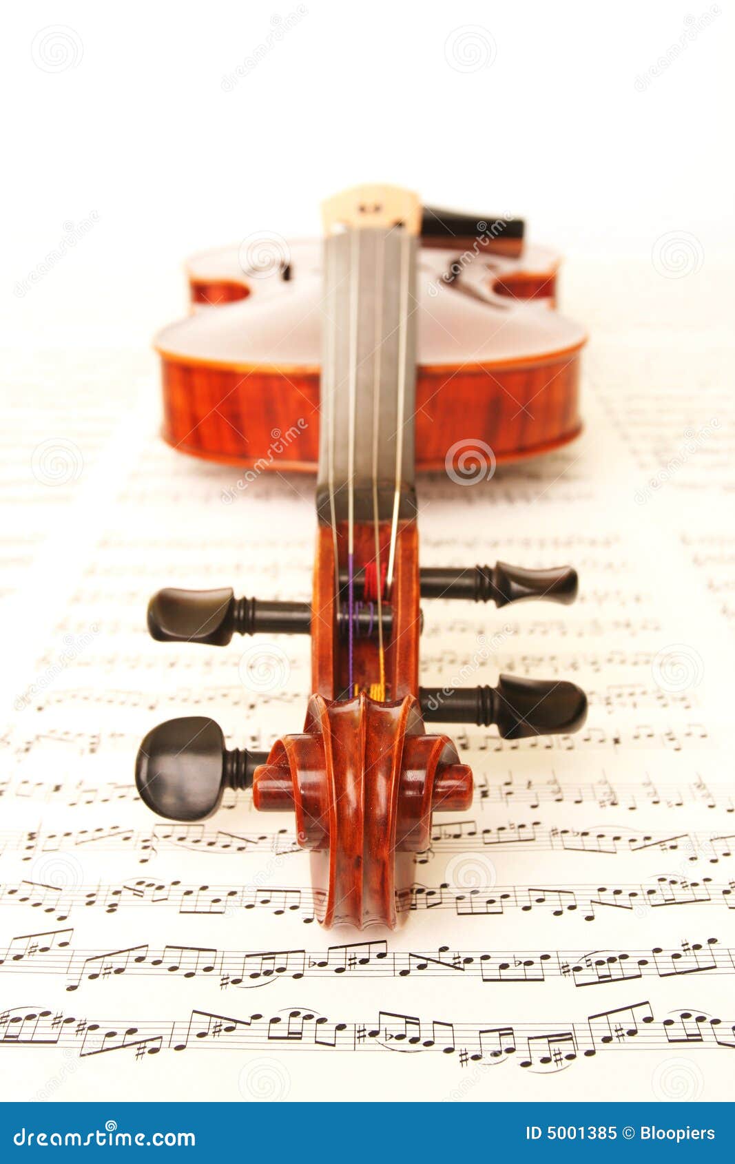 Violin stock image. Image of isolated, score, bridge, audio - 5001385