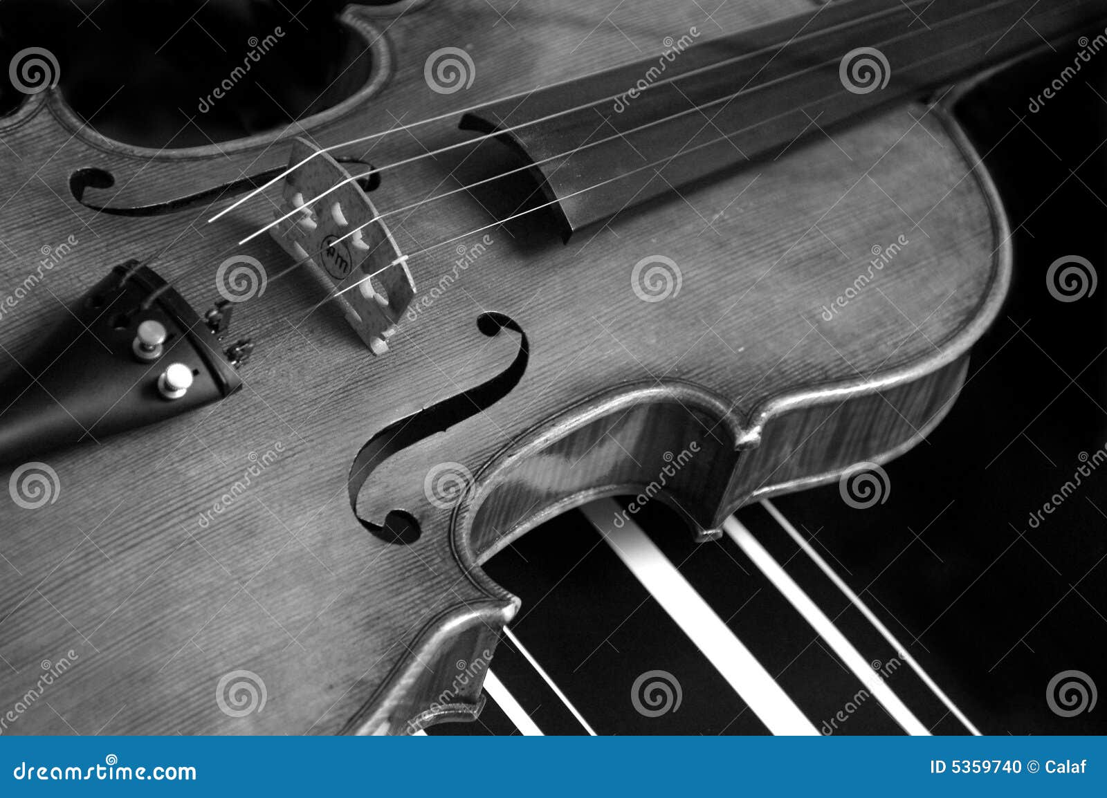 Violin stock photo. Image of white, classical, instrument - 5359740