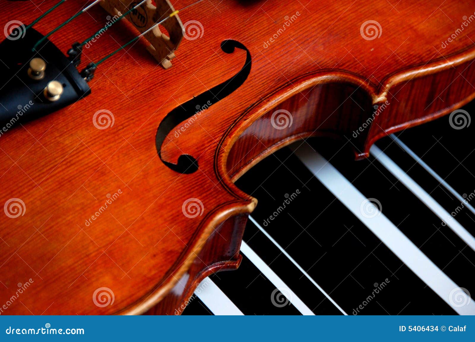 Violin Picture. Image: 5406434