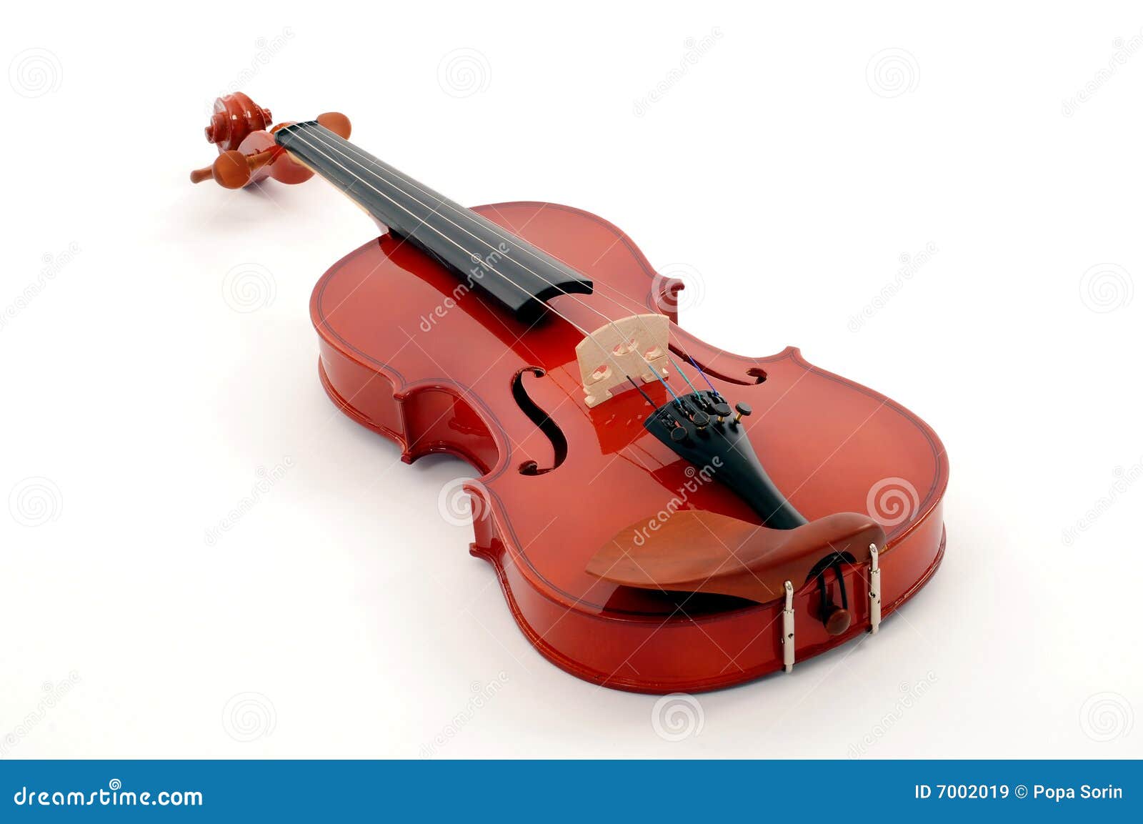 Violin stock image. Image of musical, viola, hand, concertmaster - 7002019