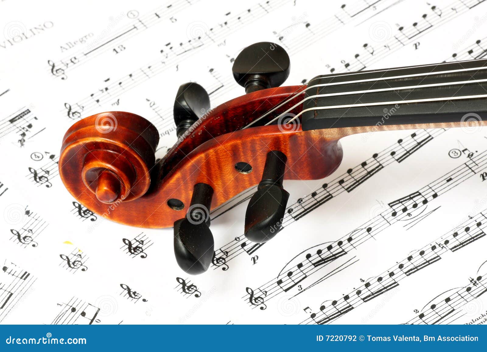 Violin stock photo. Image of isolated, concept, musician - 7220792